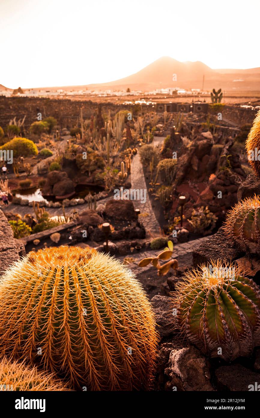 Sandy soil desert hi-res stock photography and images - Alamy