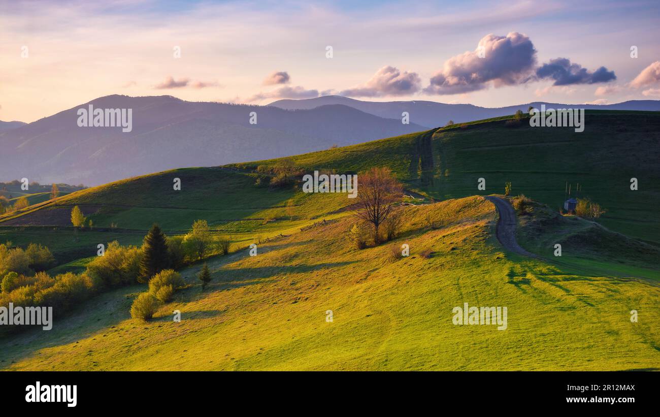 natural beauty of the rural landscape. grassy rolling hills in evening ...