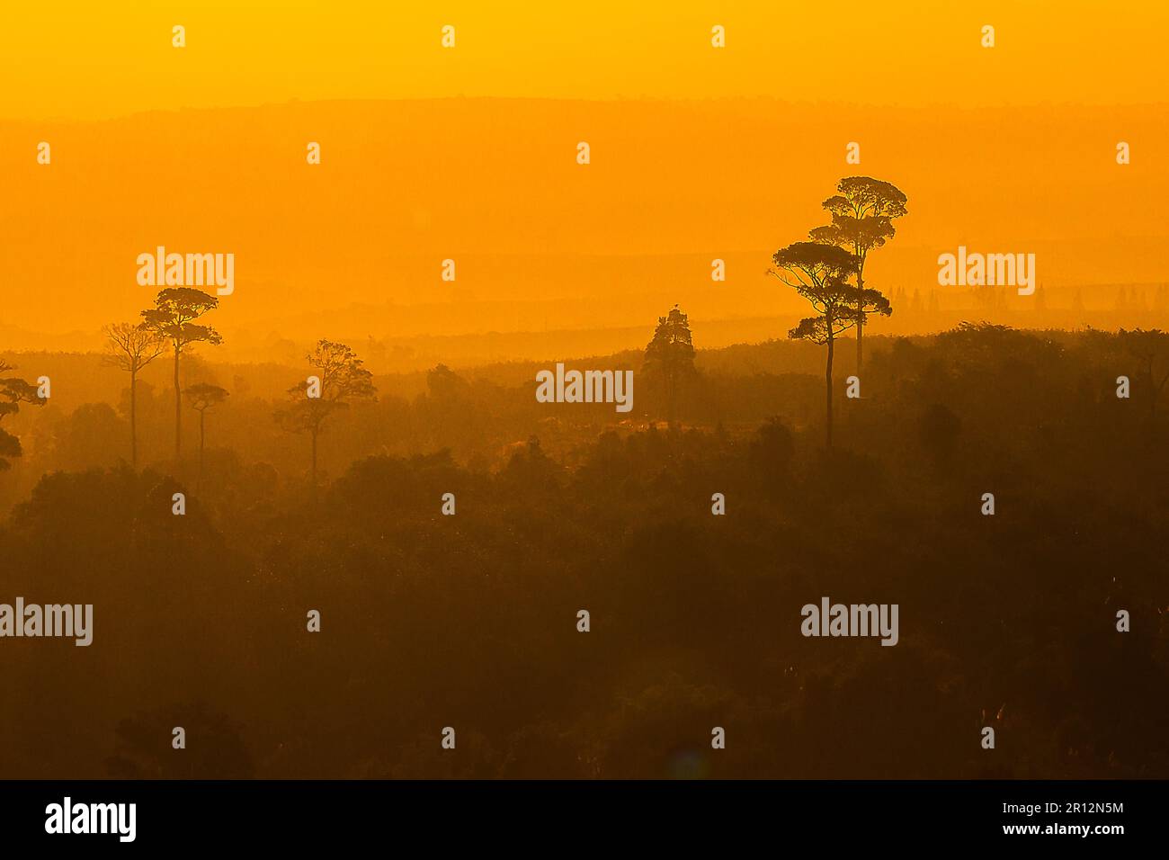 Landscape mountain tree silhouette On the orange sun light background ...