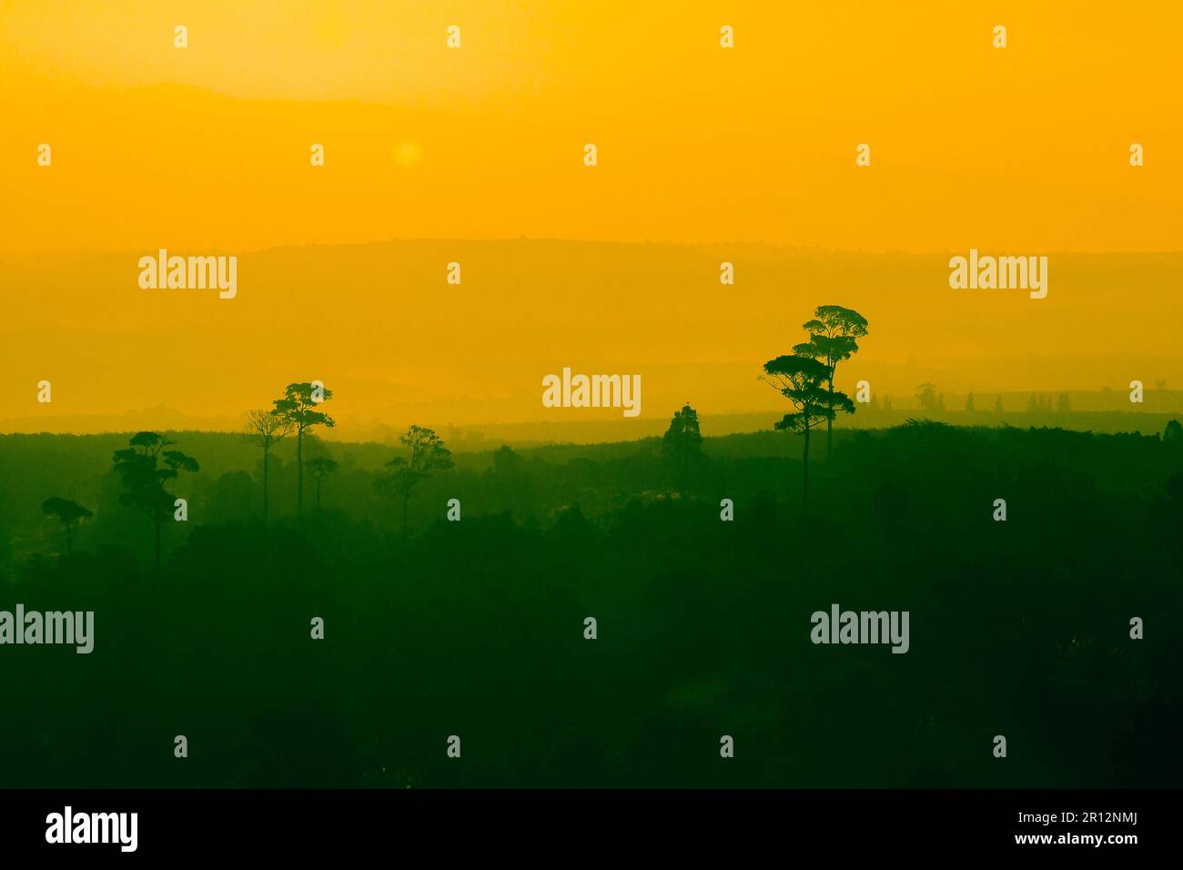 Landscape mountain tree silhouette On the orange sun light background ...