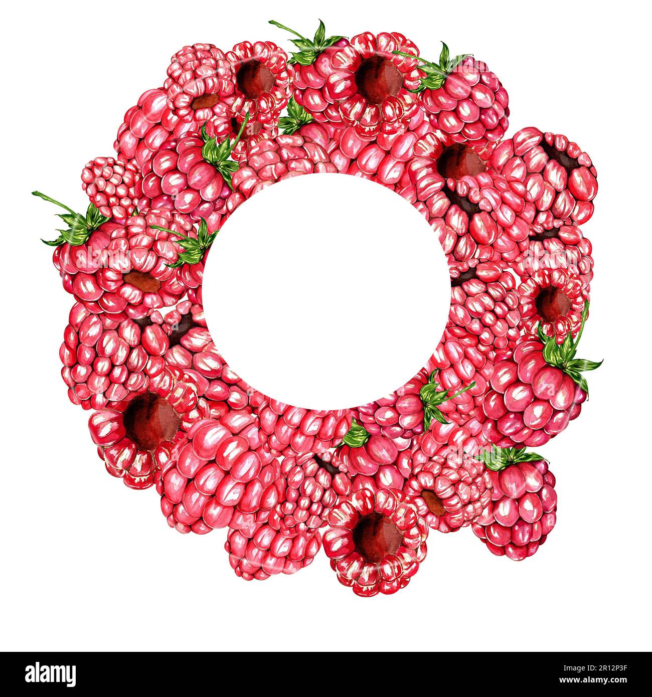 a set of watercolor elements. juicy raspberries with leaves. for ...