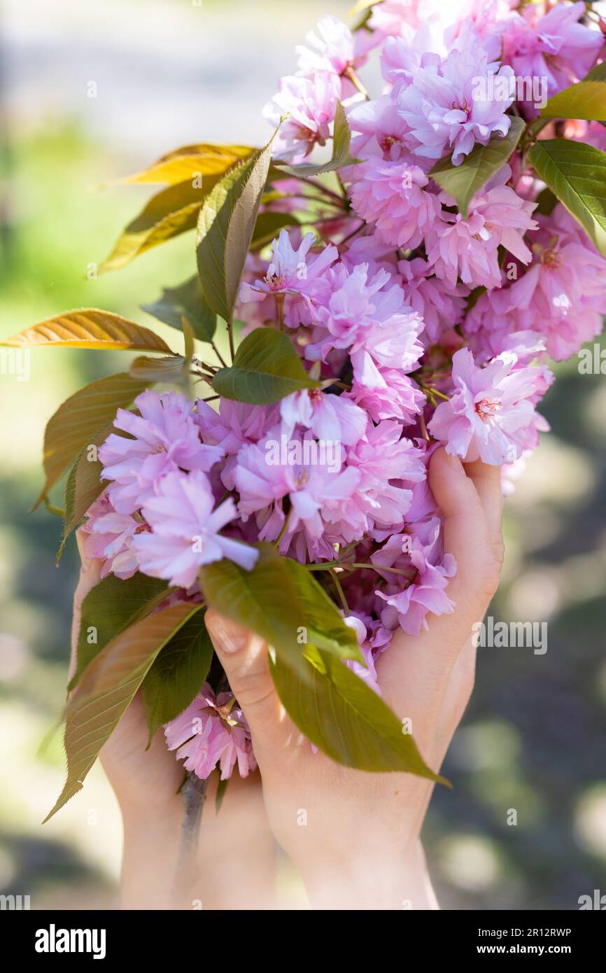 Beautiful girl touching tree colorful hi-res stock photography and ...
