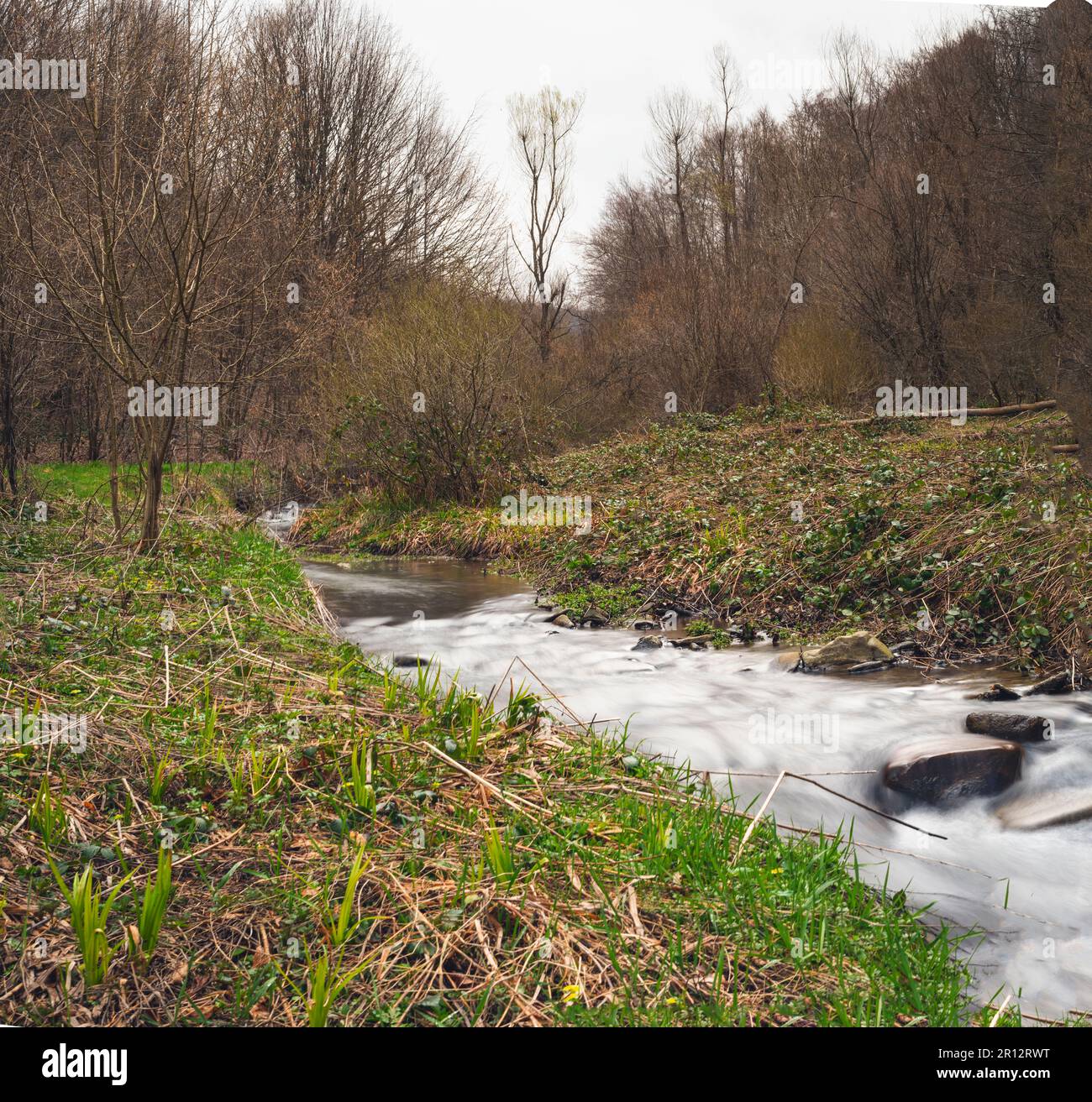 Clean mountain river in hi-res stock photography and images - Alamy