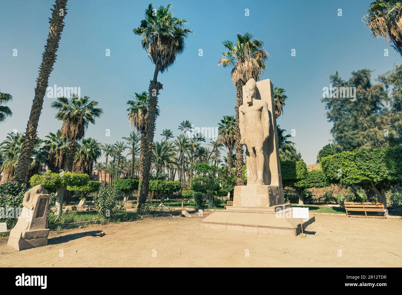Standing statue of Ramses II on the background of green palm trees in ...