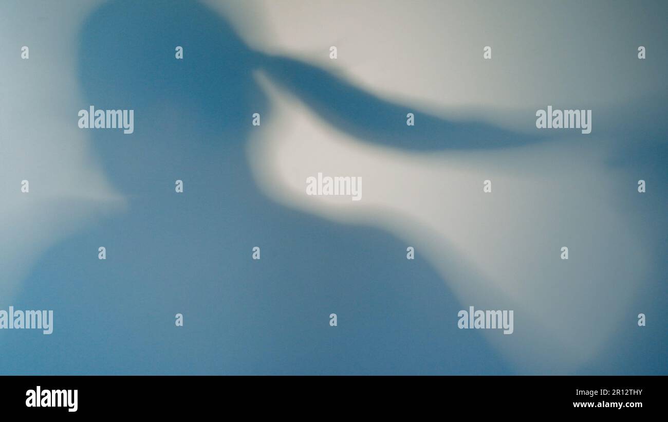 Shadow Blur of a horror man behind frosted glass. Blurred hand, body shape abstraction and one ...