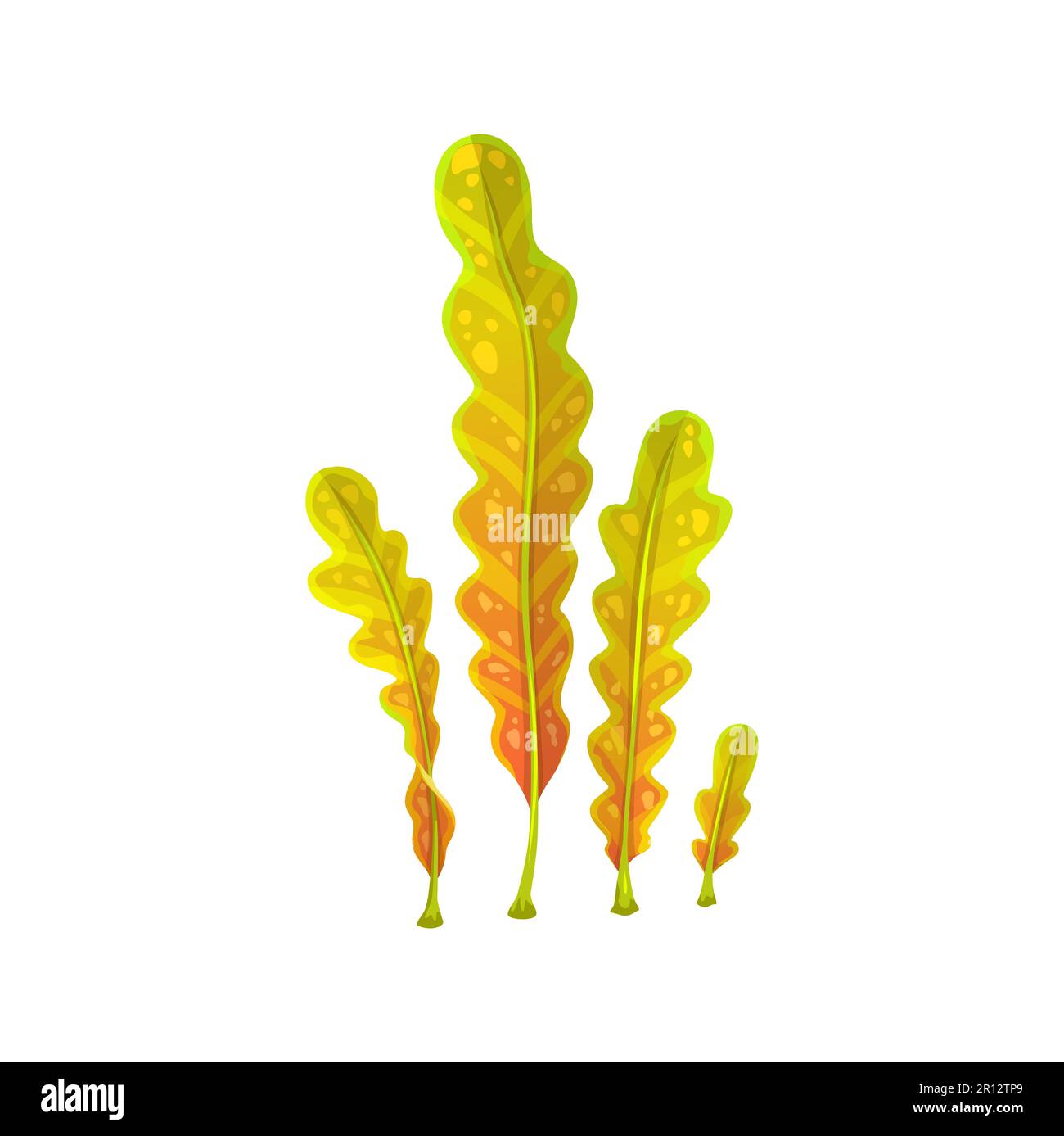 Cartoon underwater kelp seaweed plant. Aquarium and sea algae. Ocean ...