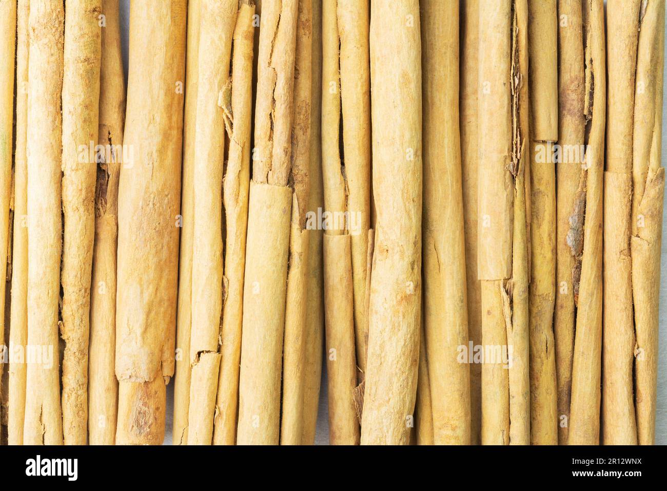Ceylon Alba cinnamon sticks from Sri LAnka Stock Photo - Alamy