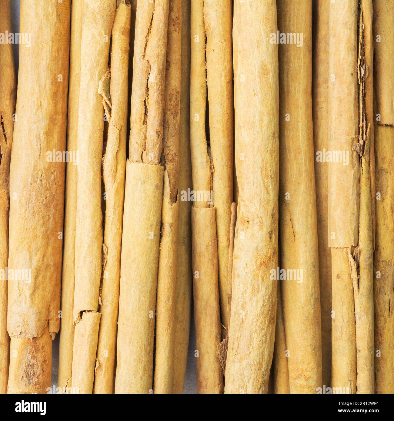 Ceylon Alba cinnamon sticks from Sri LAnka Stock Photo - Alamy