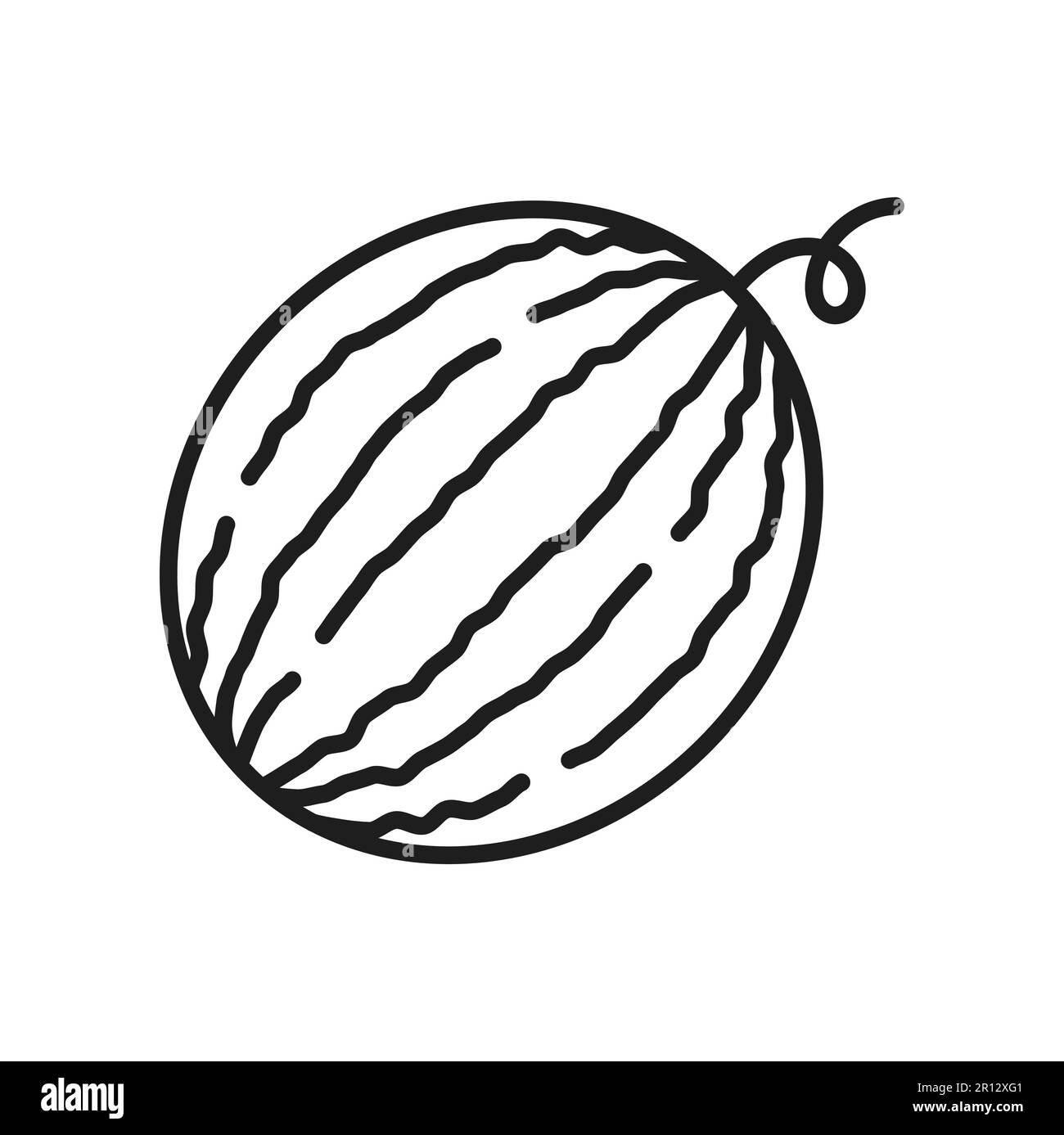 Whole watermelon isolated striped summer berry with curly stem thin ...