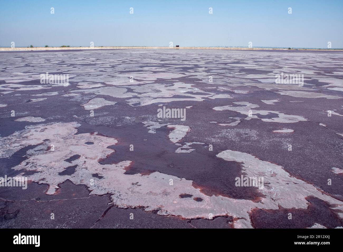 Salt Crystals forming in an evaporation pond at Sambhar Salt Lake ...