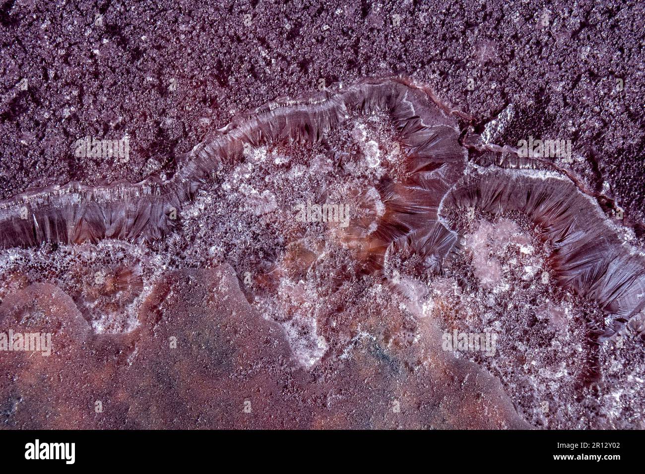 Salt Crystals forming in an evaporation pond at Sambhar Salt Lake ...