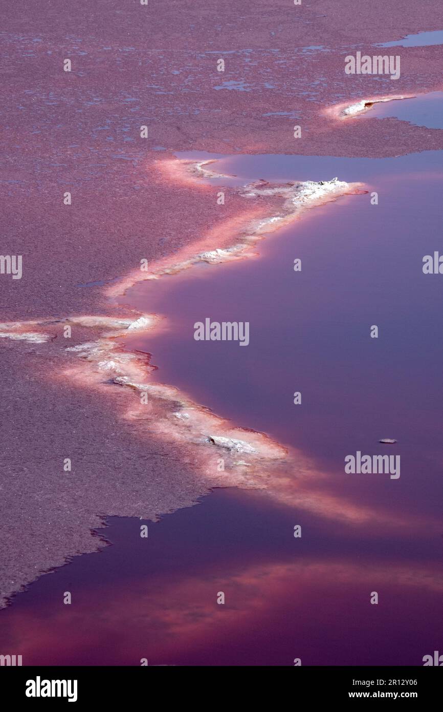 Salt Crystals forming in an evaporation pond at Sambhar Salt Lake ...