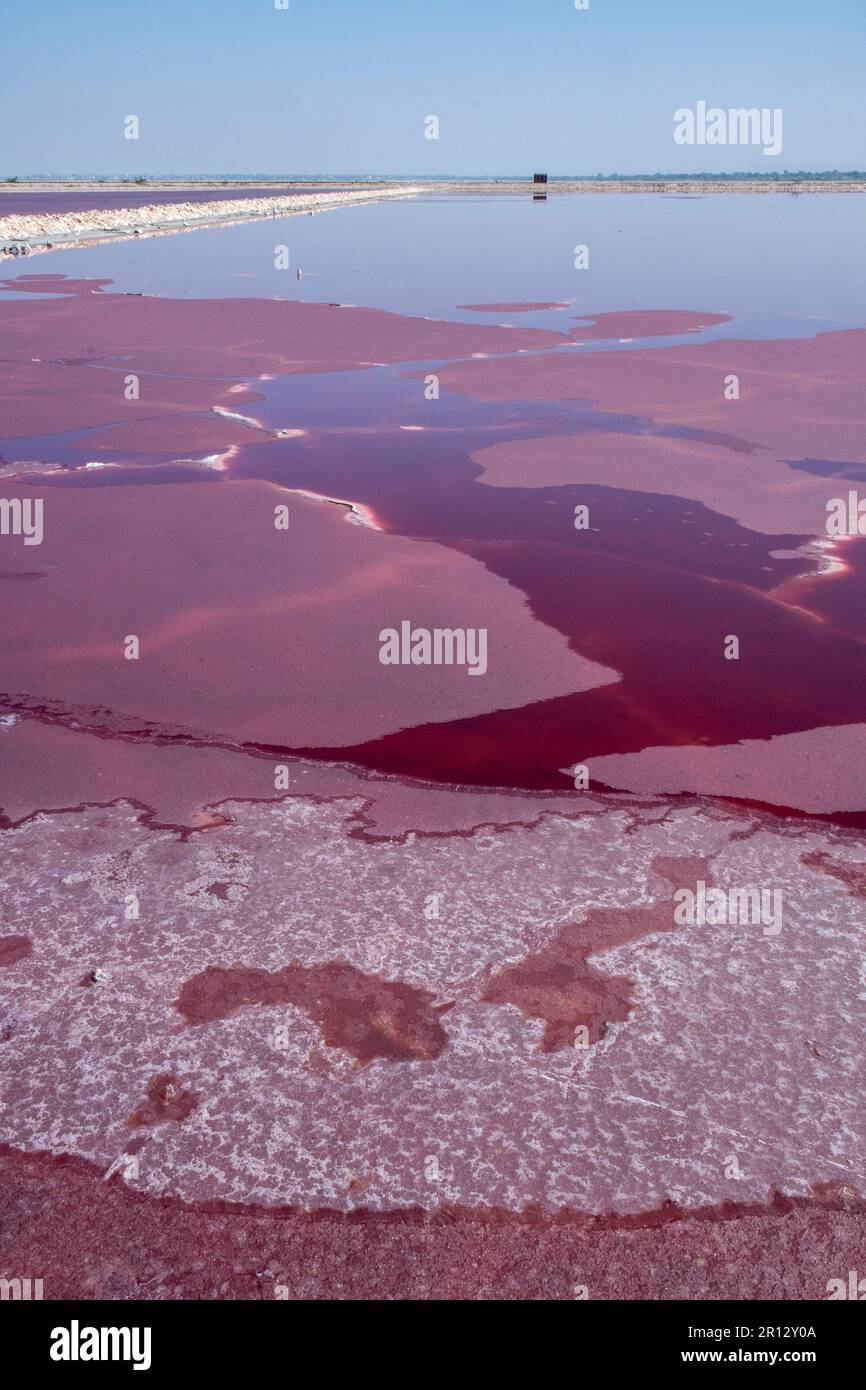 An evaporation pond at Sambhar Salt Lake, Rajasthan, India Stock Photo ...