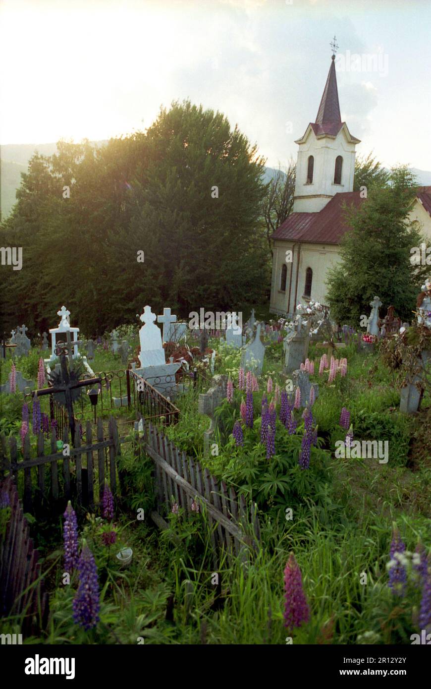 Christian orthodox church and cemetery in Sirnea, Brasov County ...