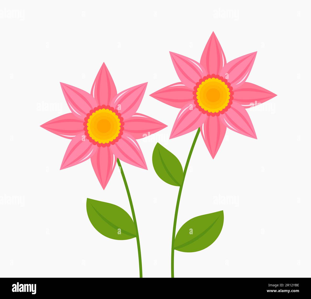 Pink flowers growing and blooming isolated on white background. Vector ...