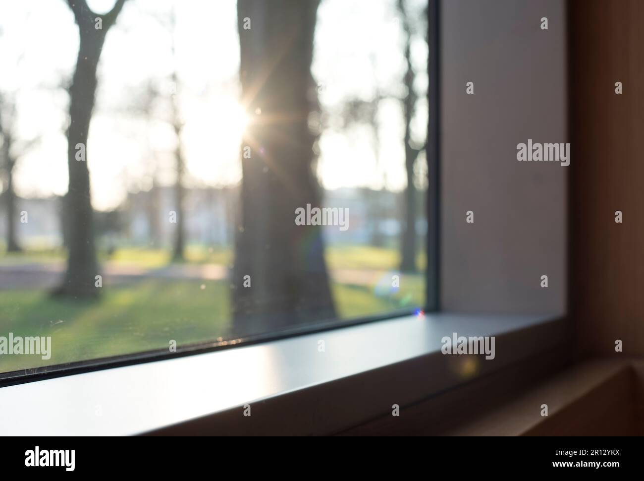 A view through a window towards wintery trees with the low sun creating ...