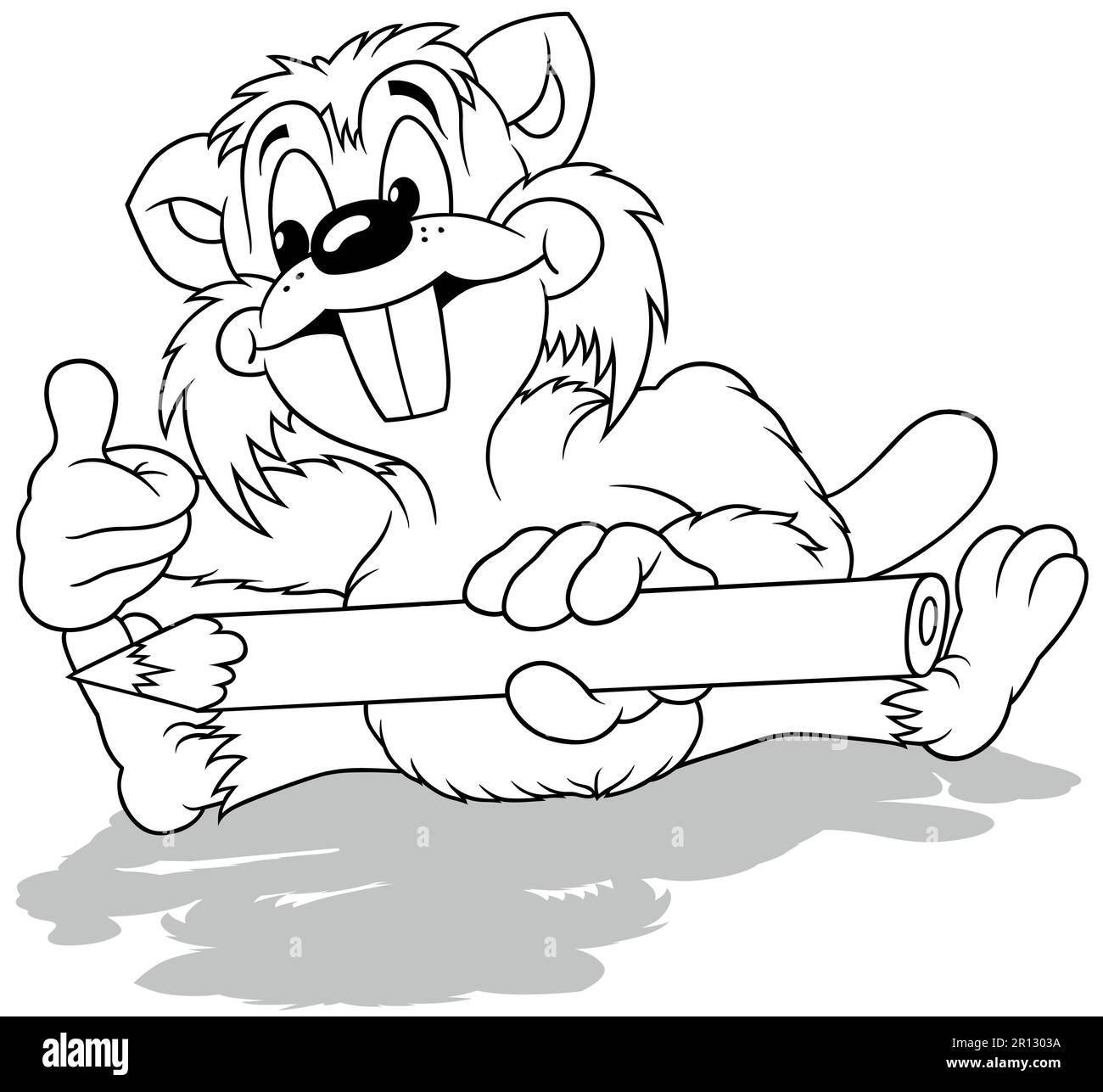 Drawing of a Sitting Beaver with a Crayon Stock Vector Image & Art - Alamy