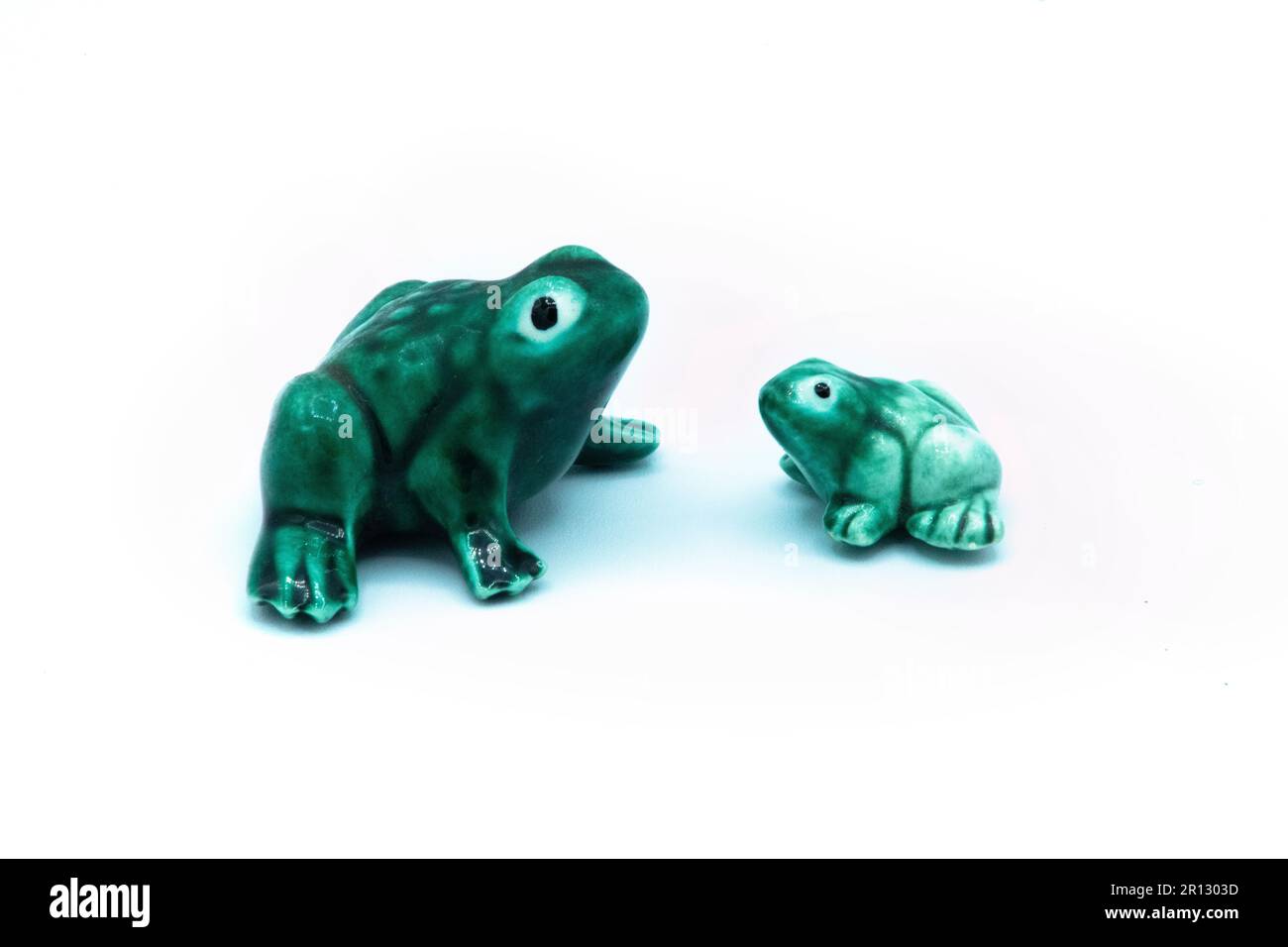 Baby Toads Born From Moms Back