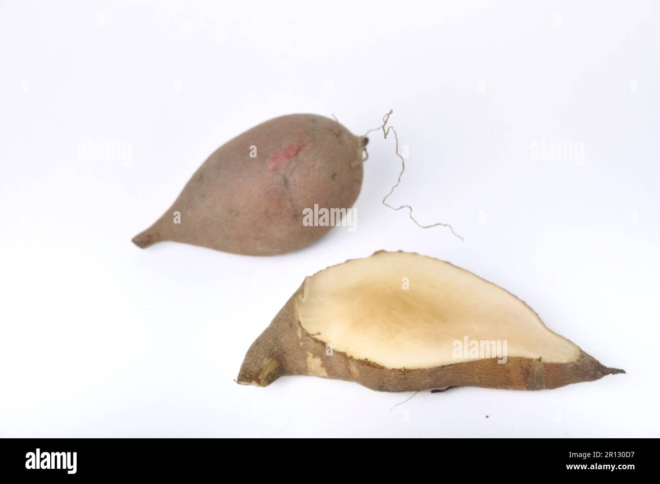 Yacon roots on a white background Stock Photo - Alamy