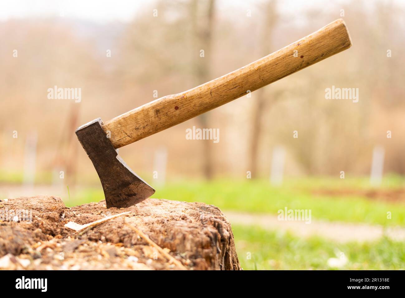 Old axe with wooden handle stacked in the wooden log Stock Photo - Alamy