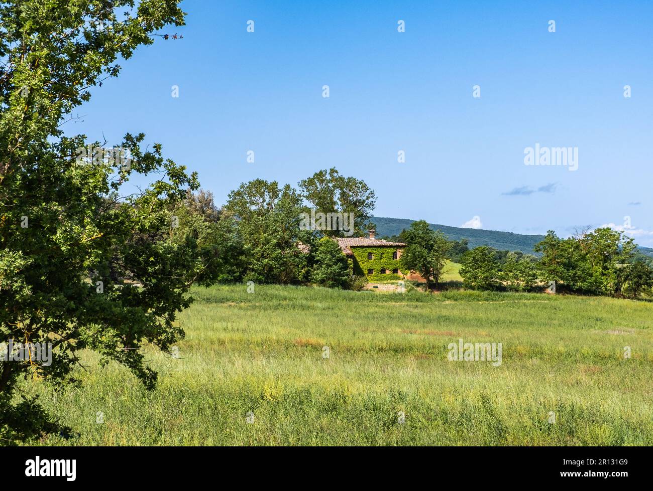 landscape of the rural Tuscany region of central Italy. Tuscan ...
