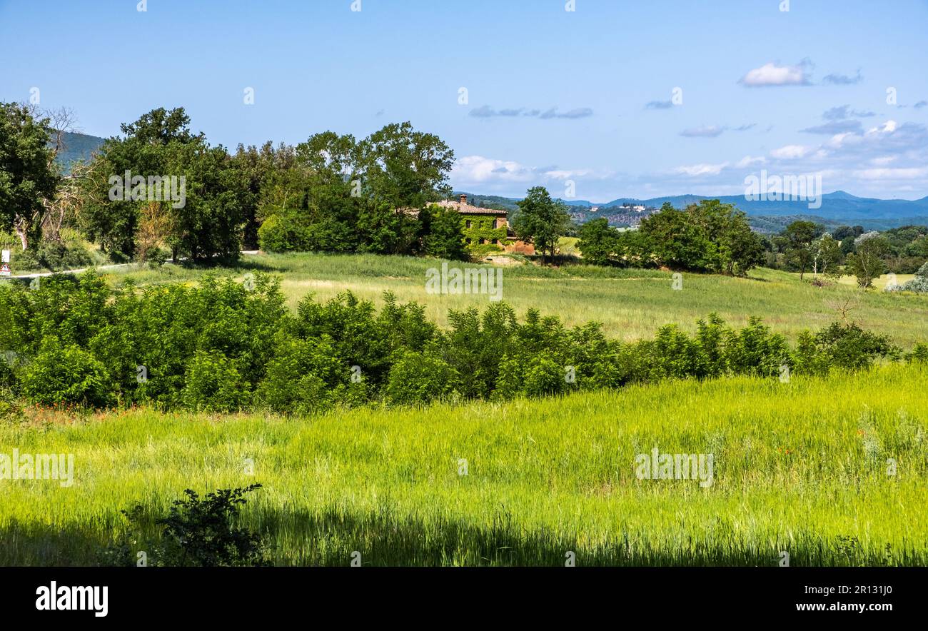 landscape of the rural Tuscany region of central Italy. Tuscan ...