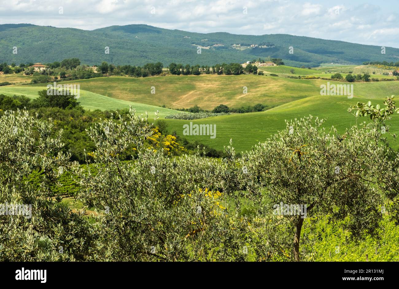 Landscape of Tuscany, hills and meadows, central Italy - Europe - rural ...