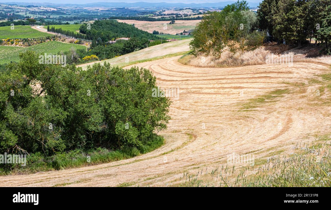 Landscape of Tuscany, hills and meadows, central Italy - Europe - rural ...