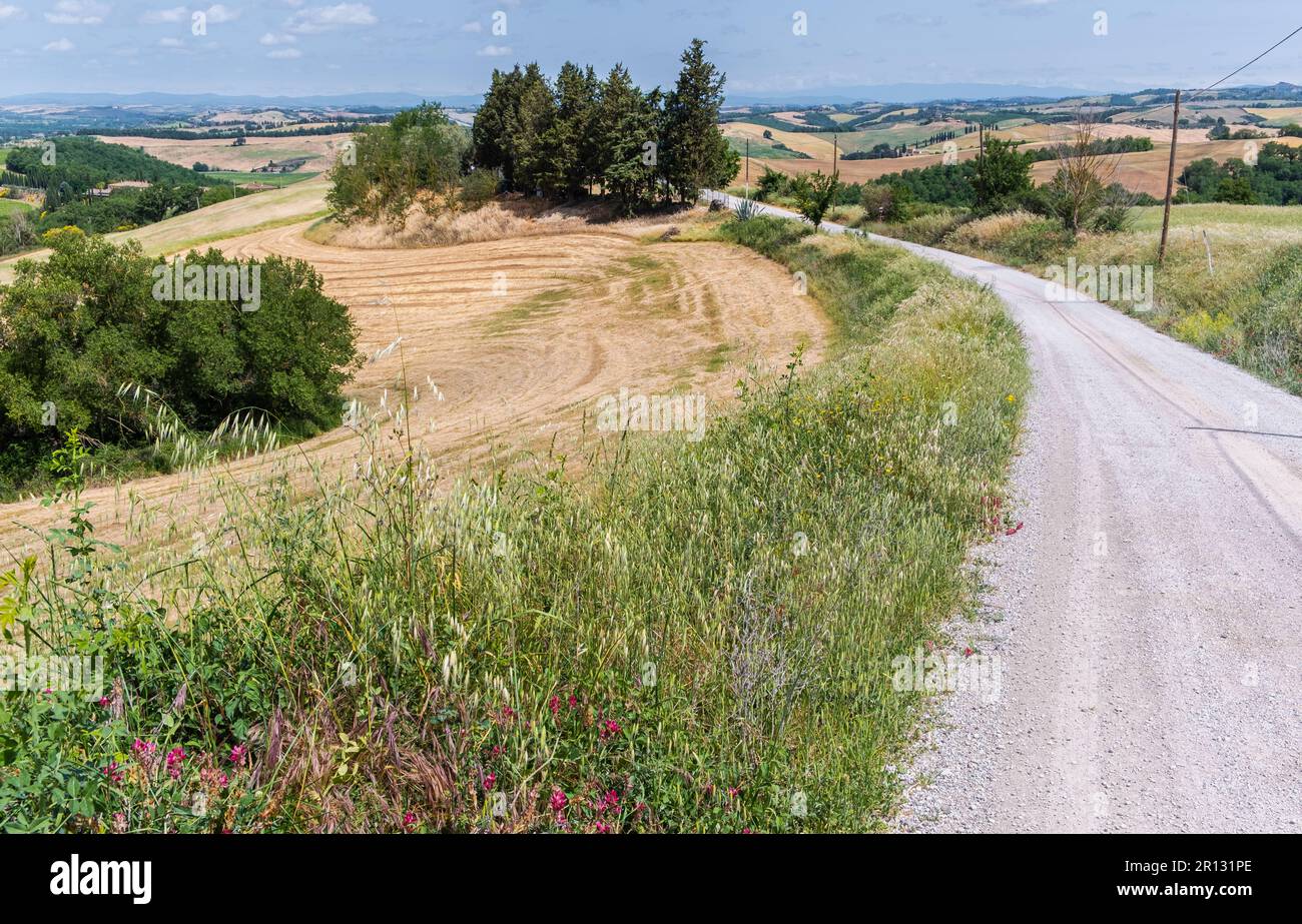 Landscape along via Francigena path between Ponte d'Arbia and San ...