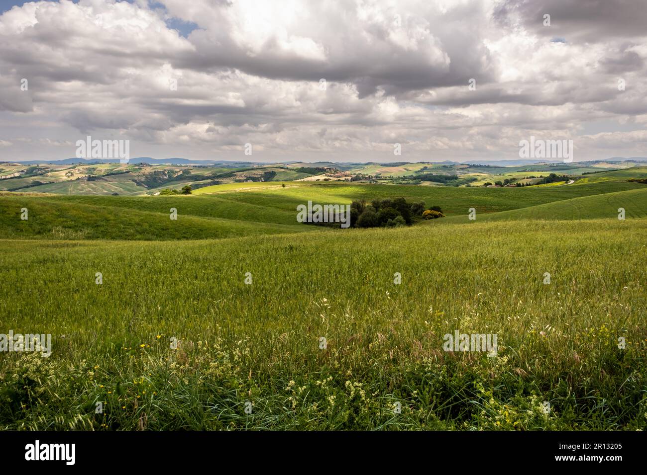 Landscape of Tuscany, hills, meadows and vineyards, central Italy ...