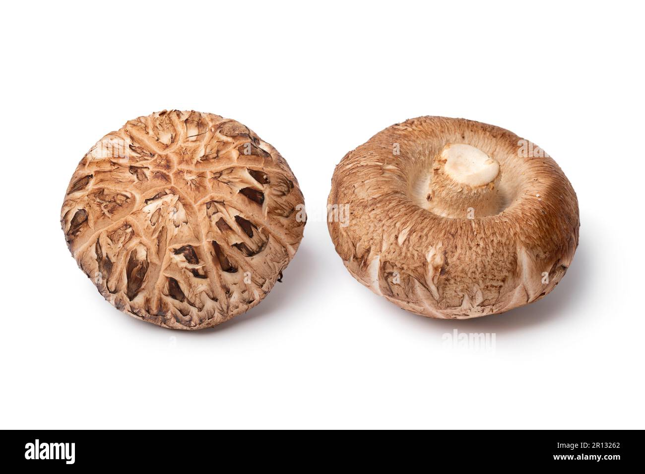 Pair of fresh whole shiitake mushrooms close up isolated on white ...