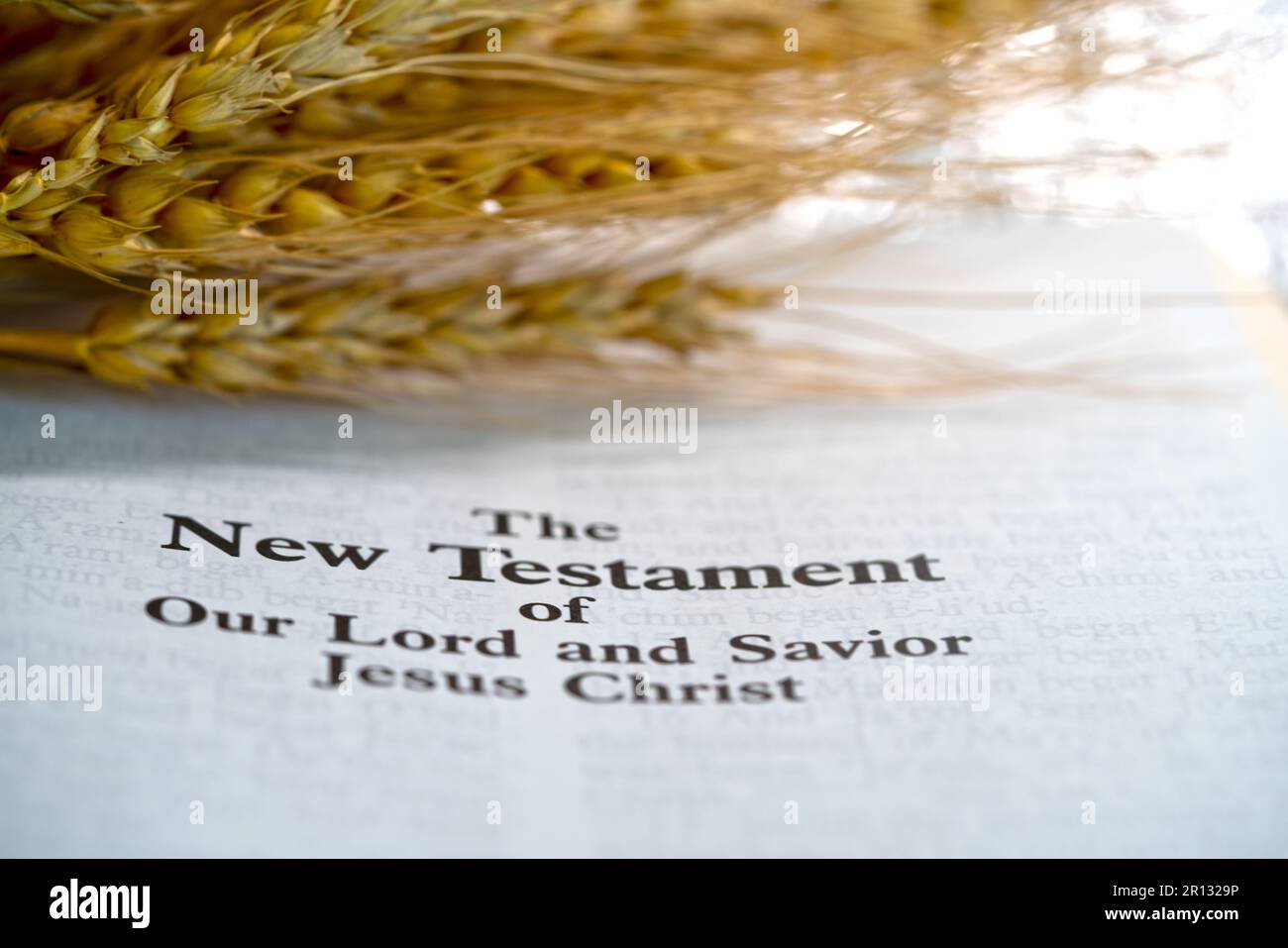 Selective focus of New testament of Holy bible index for backgroud and ...