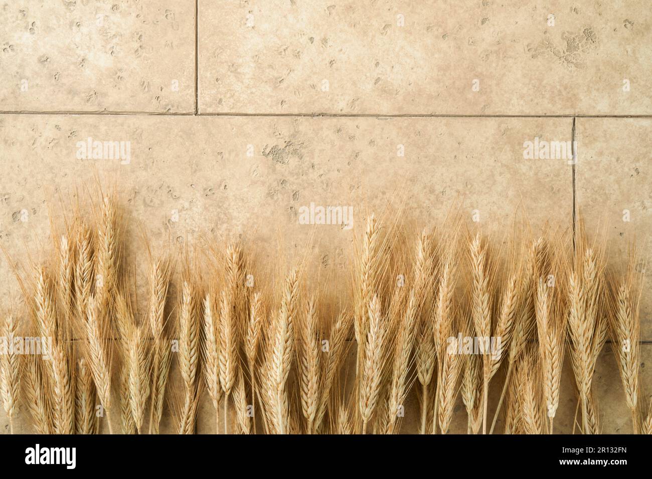 Shavuot jewish holiday celebration. Bouquet of golden ripe wheat with ...