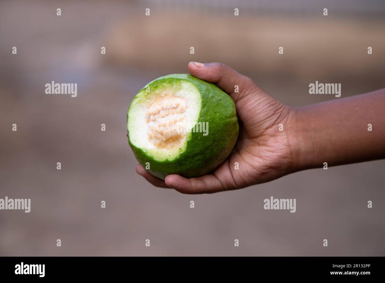 Hand-holding bite of guava fruit with Shallow depth of field Stock ...