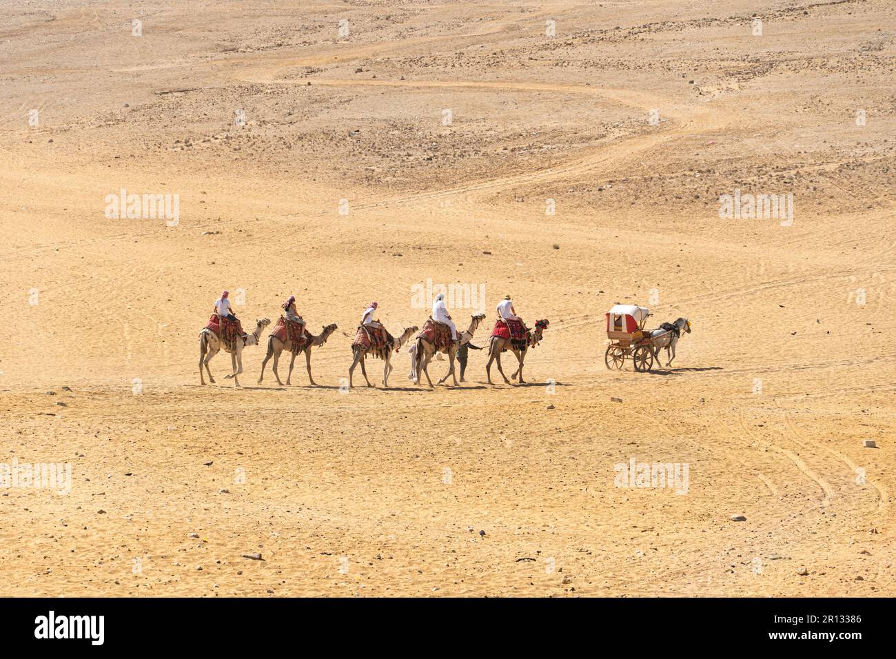 Camel caravan going through the sand dunes in the Sahara Desert Stock Photo - Alamy
