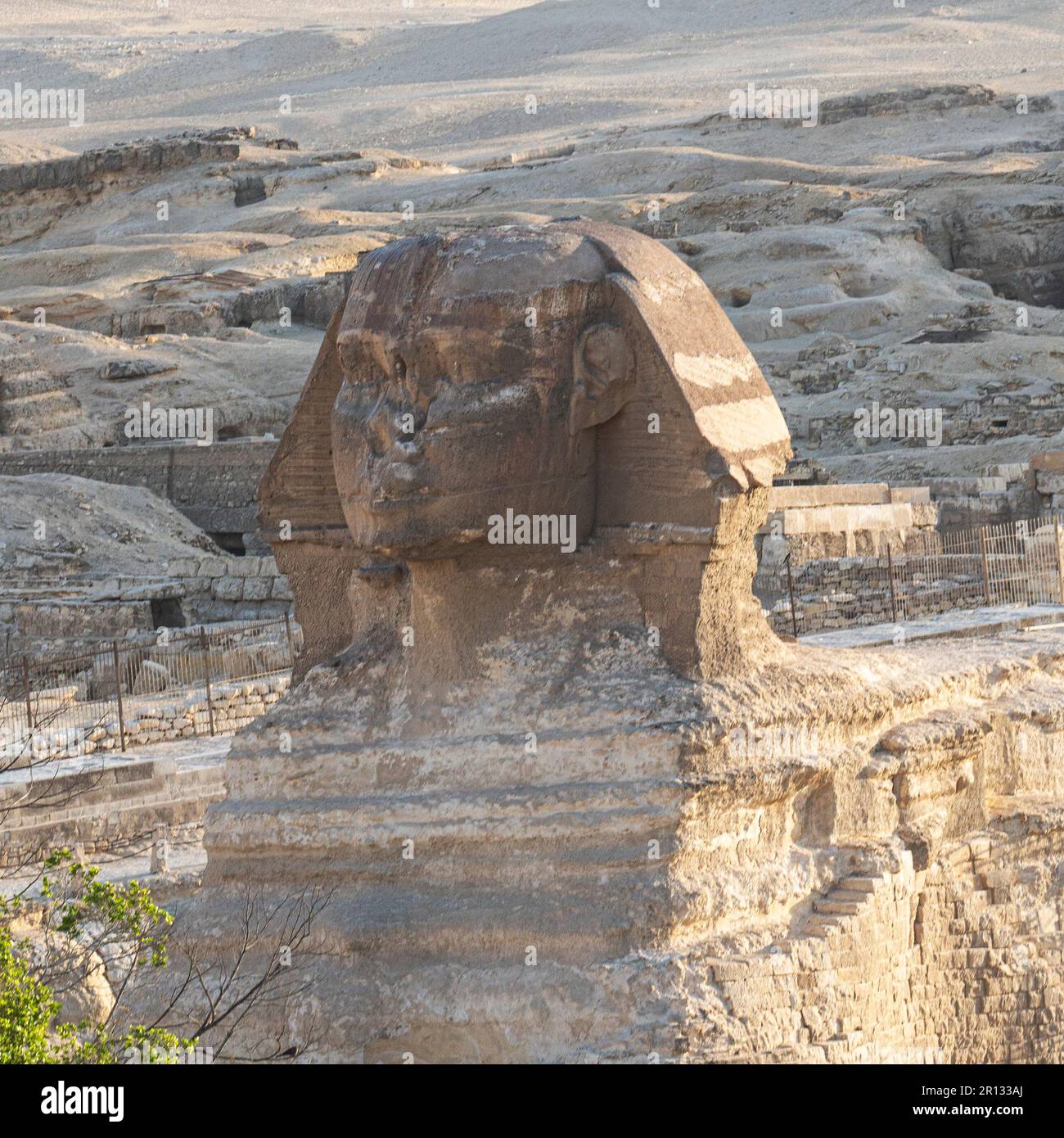The iconic Sphinx carving adjacent to the Great Pyramids at Giza, Egypt ...