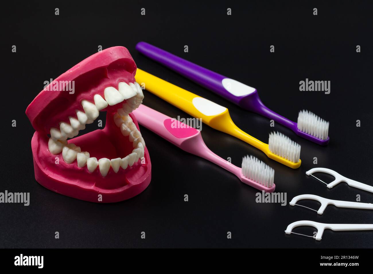 Human jaw layout, toothbrushes and flossing toothpicks Stock Photo - Alamy