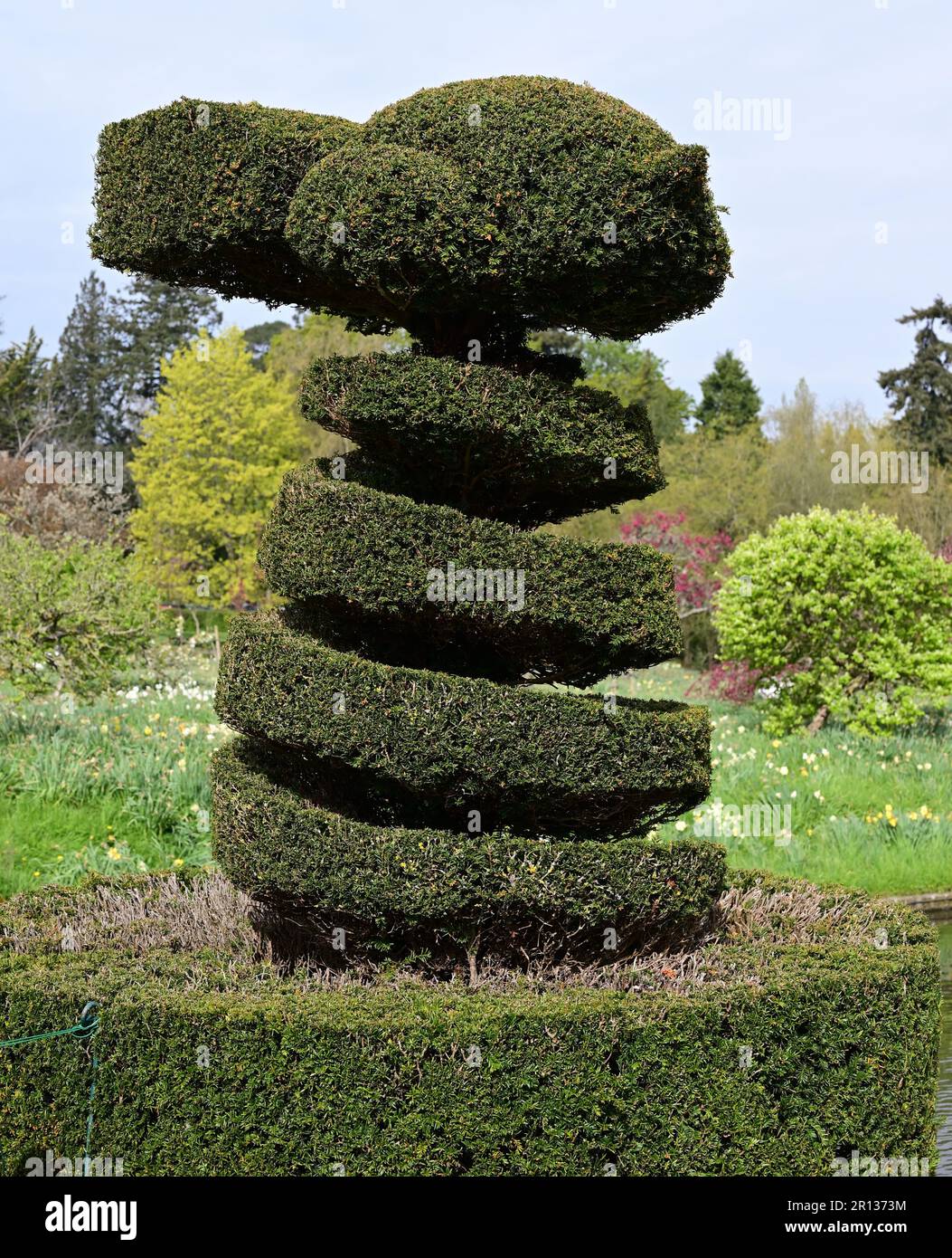 Topiary at Hever Castle, the childhood home of Anne Boleyn Stock Photo ...