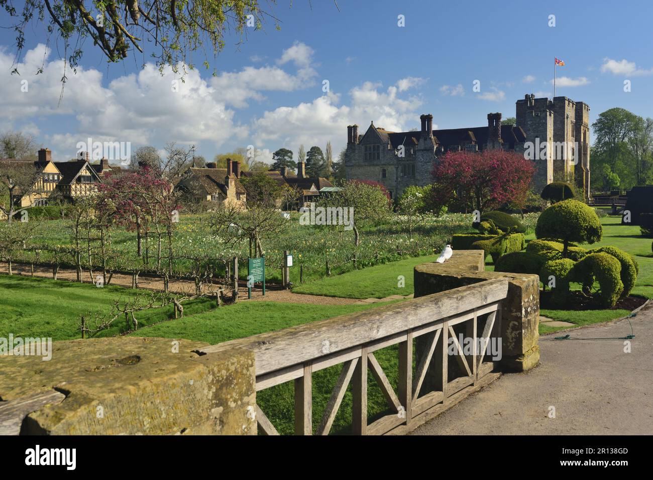 A white dove on a stone wall at Hever Castle overlooking the Anne ...