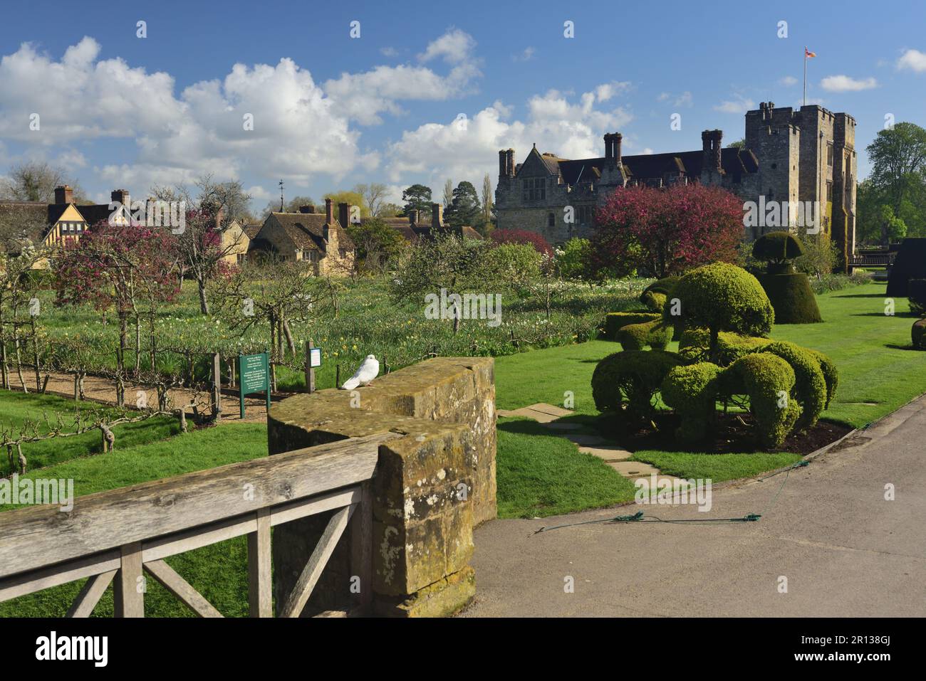 A white dove on a stone wall at Hever Castle overlooking the Anne ...
