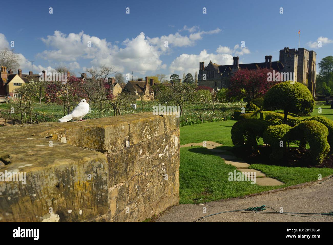 A white dove on a stone wall at Hever Castle overlooking the Anne ...