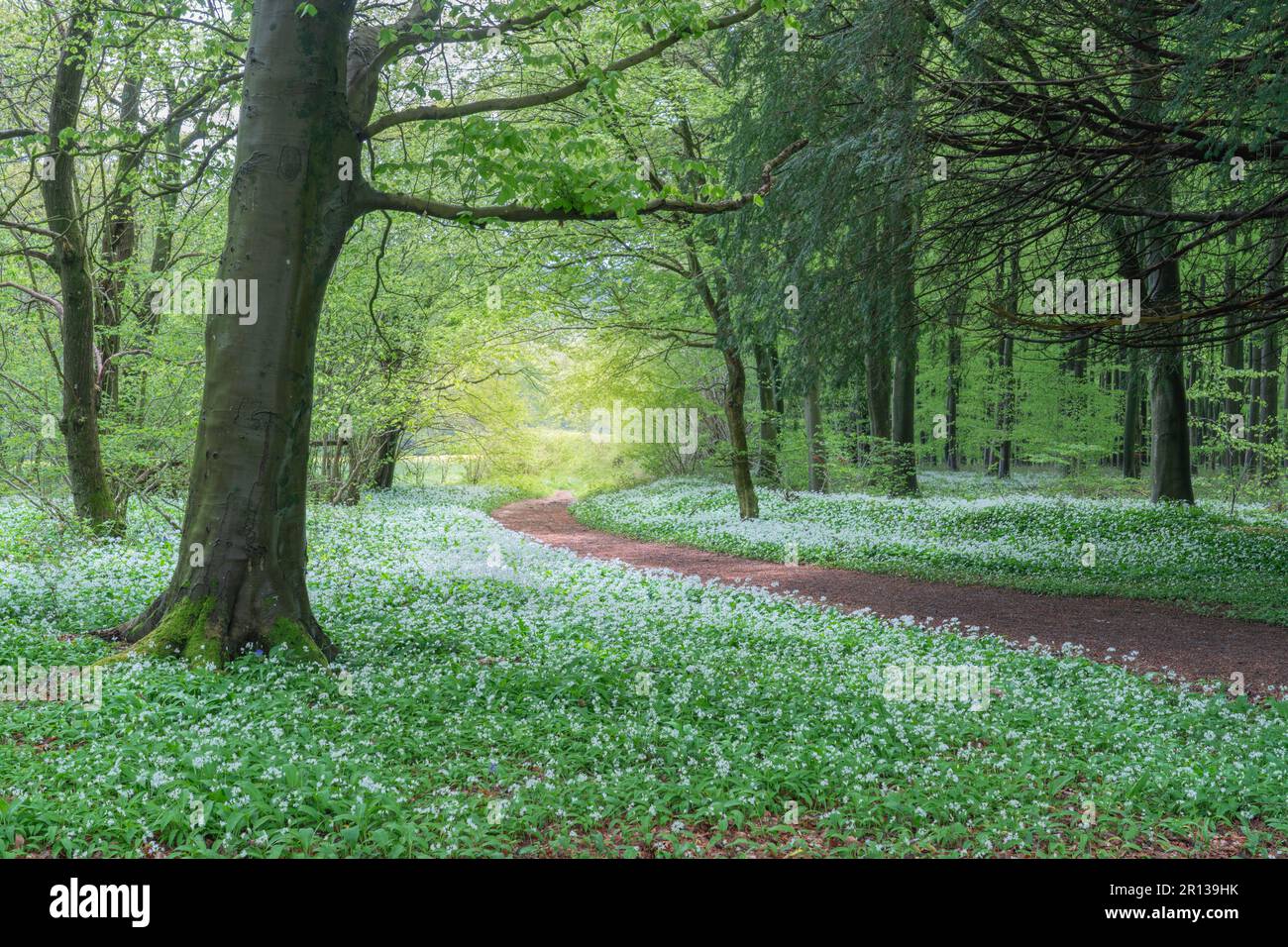 Vale forest hi-res stock photography and images - Alamy