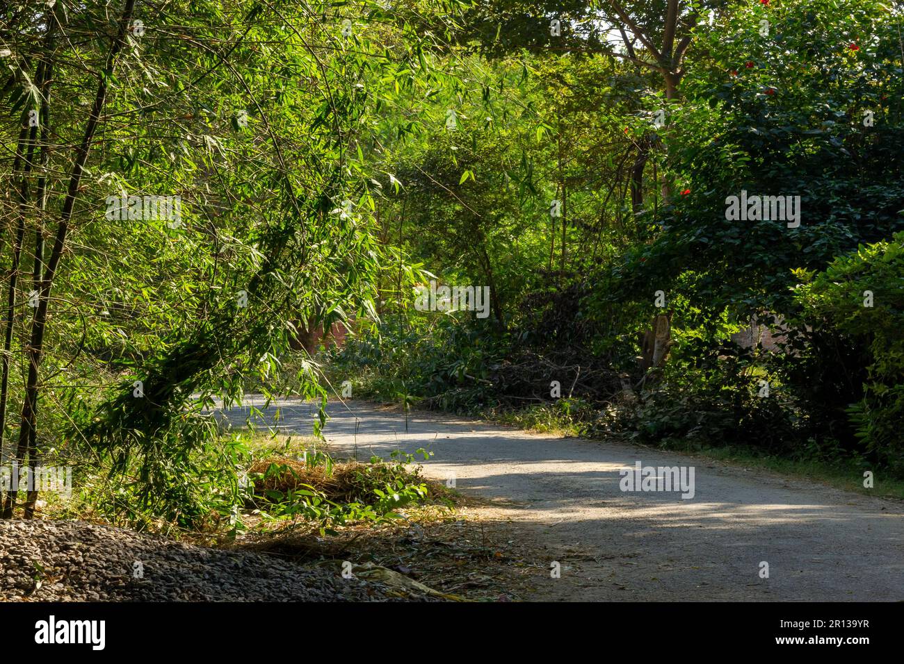 A landscape view of a village of uttar pradesh Stock Photo - Alamy