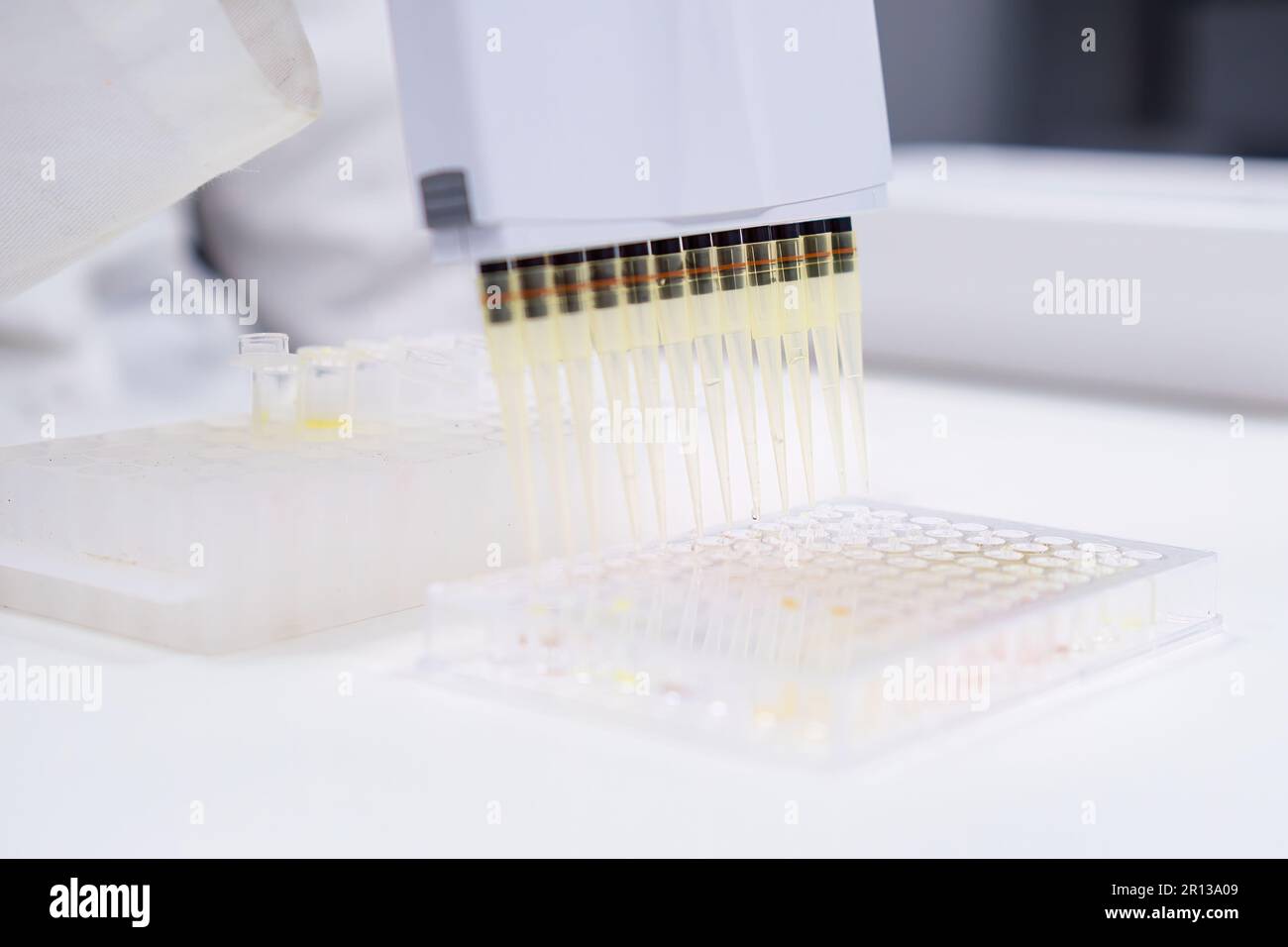 Scientist uses multichannel pipette dispenser to fill microplates for ...