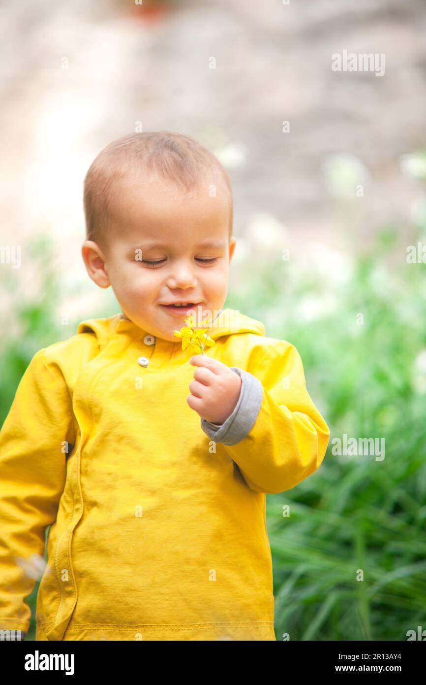 Observing environment hi-res stock photography and images - Alamy