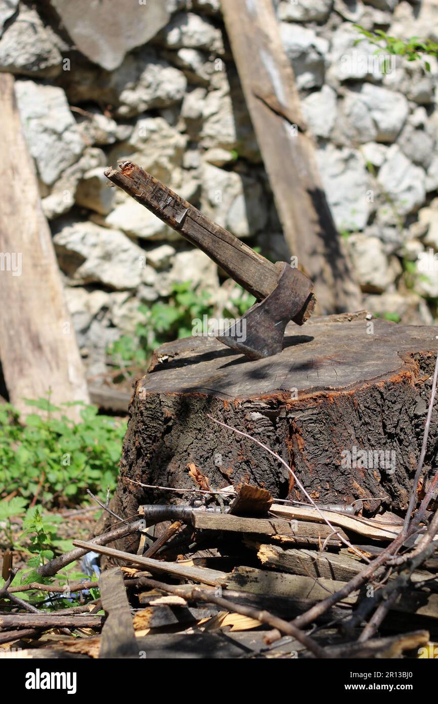 An old axe stuck in a stump. Hand-held antique method of stabbing wood ...