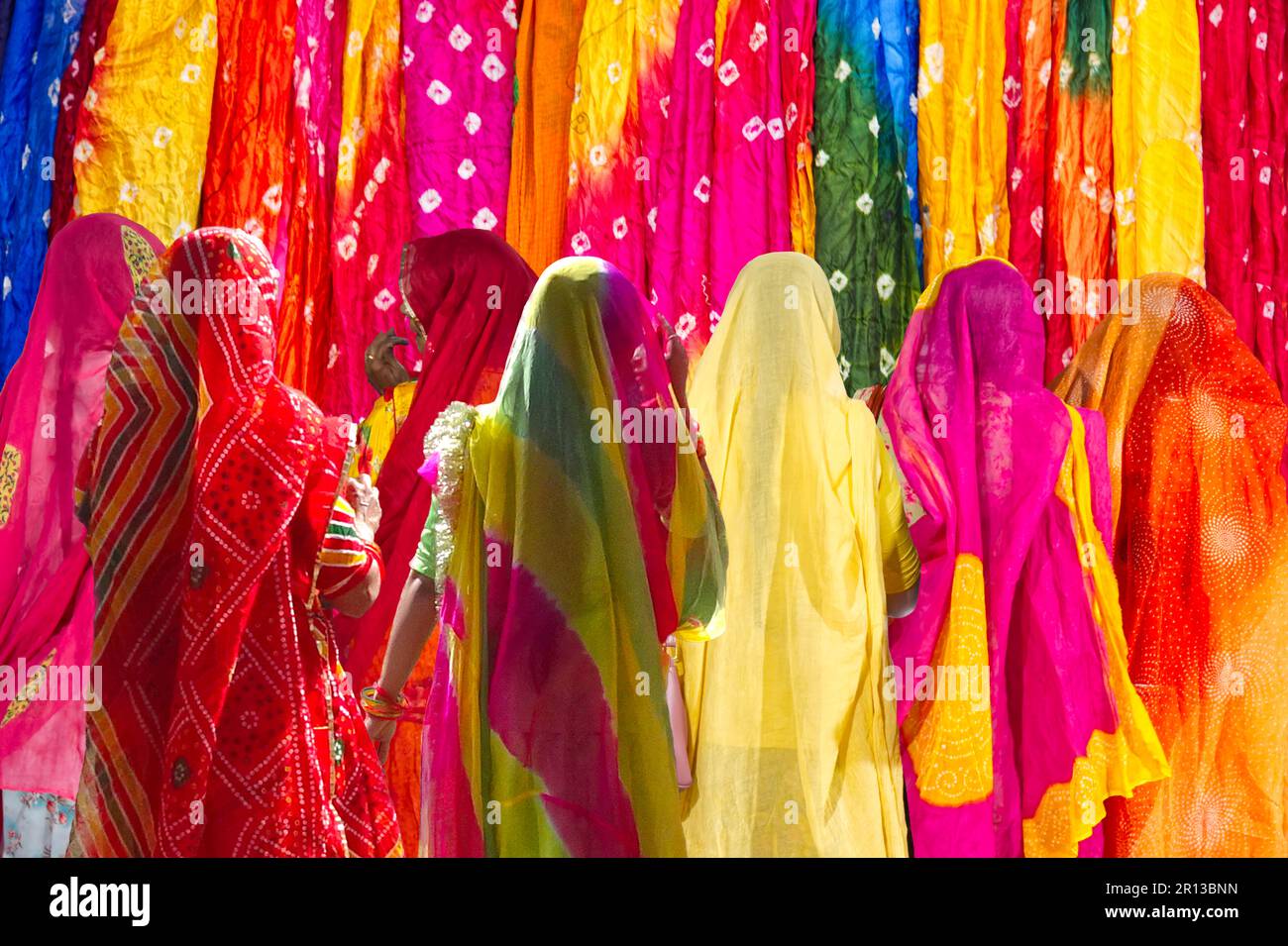 Rear view of women wearing saris, looking at the textiles in various ...