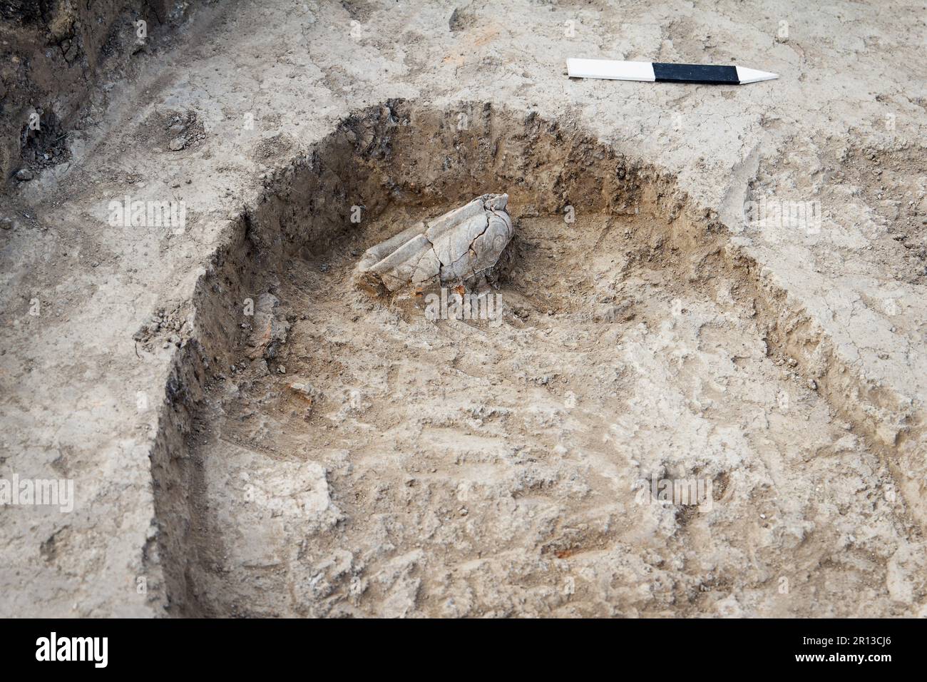 Archaeology dig depth hi-res stock photography and images - Alamy