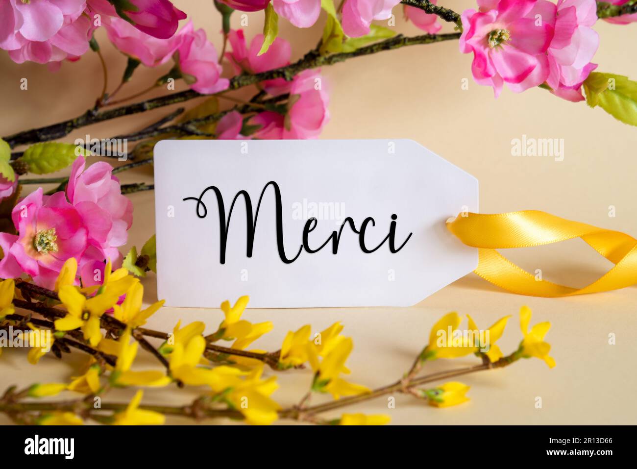 Spring Flower Decoration, Label With Merci Means Thank You Stock Photo ...