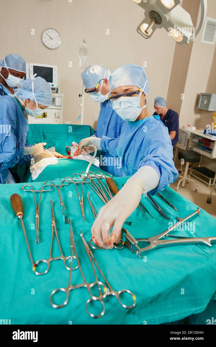 She knows her instruments like the back of her hand. a team of surgeons ...